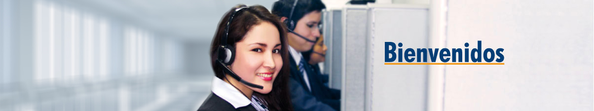 SAT - Consultas en línea